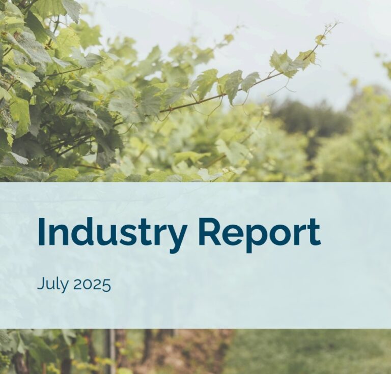 New WineGB Industry Report 2025 – Wine Drinker